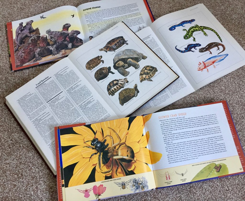 adult | Professor Alan Male