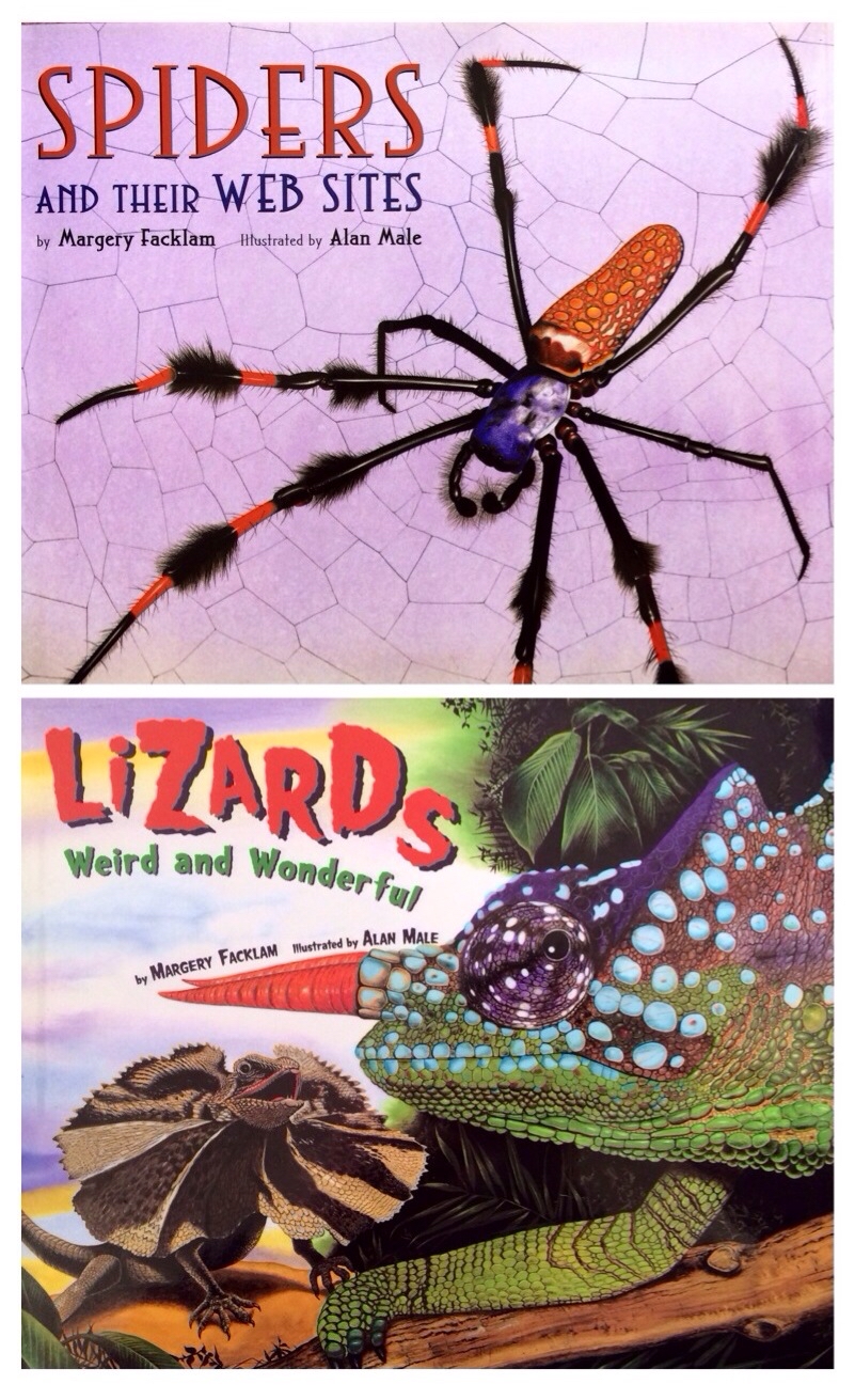 adult | Professor Alan Male