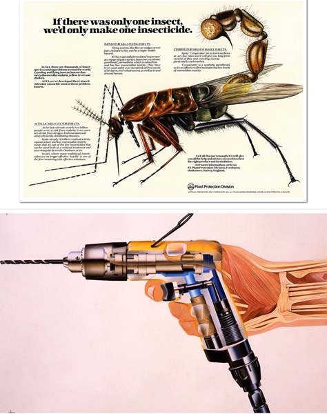 Advertising | Professor Alan Male