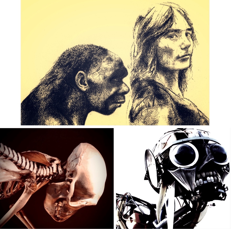 anthro | Professor Alan Male